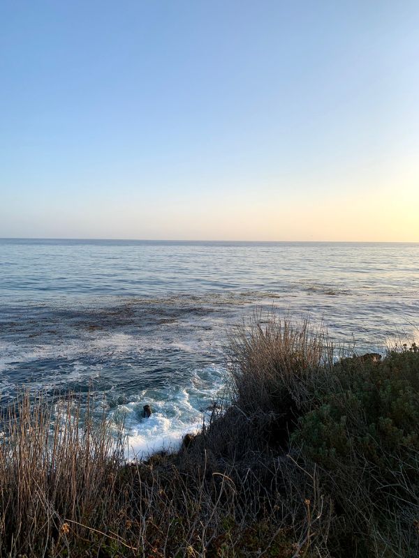 Compassionate & Collaborative Psychotherapy - Scott Whelan Therapy